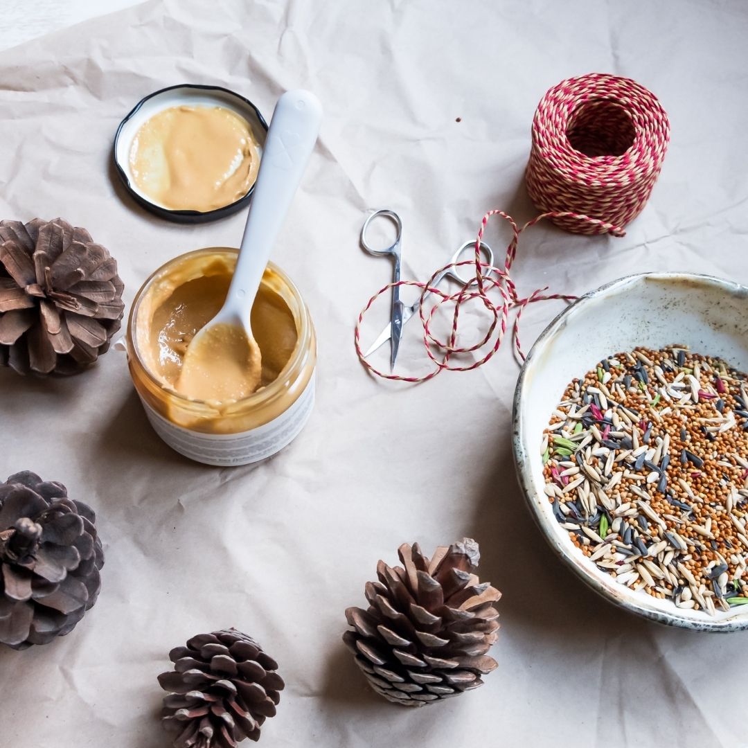 DIY Spring Bird Feeder – The Friendly Fox